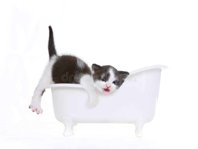 Studio Background of Film stock image. Image of production - 2117587