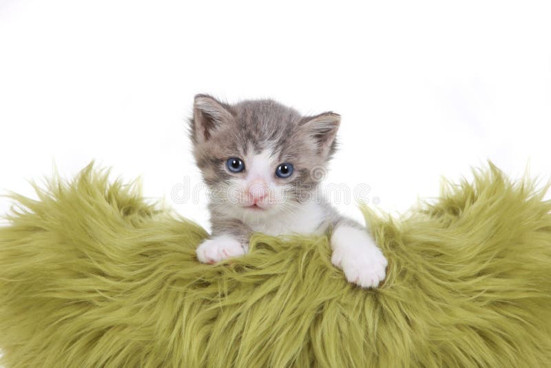 Studio Background of Film stock image. Image of production - 2117587