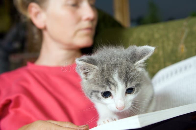 Kitten reading book stock photo. Image of girls, faces - 2996536