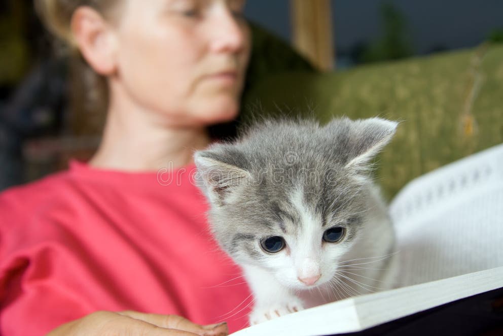 Kitten reading book stock photo. Image of girls, faces - 2996536