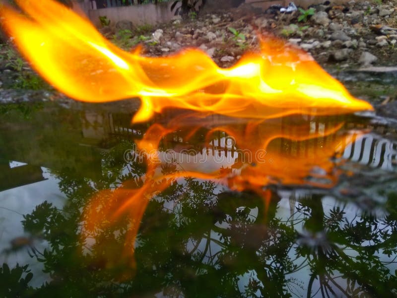 ðŸ”¥ fire stock image. Image of fire, hugging, kittens - 204486551