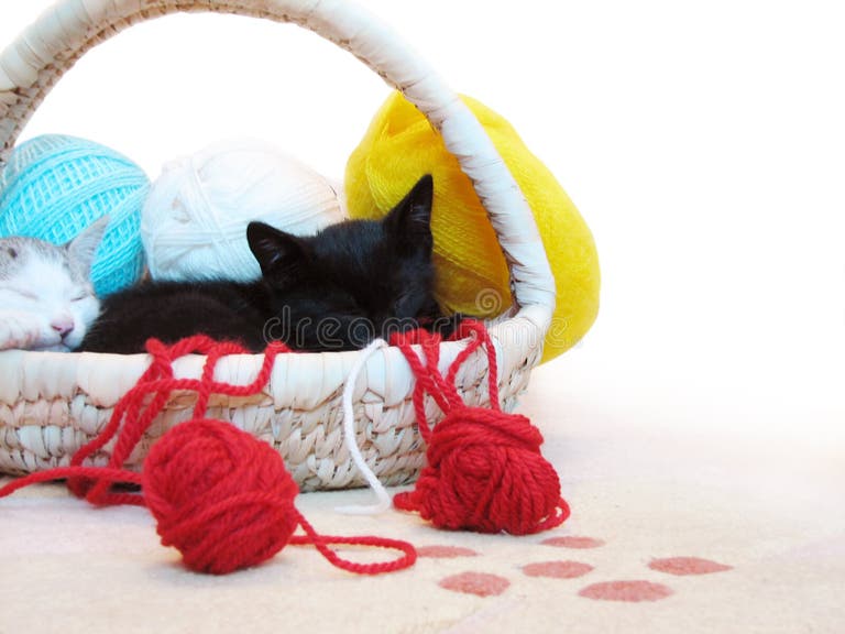 Kitty Sleeping in the Basket with Yarn Stock Photo - Image of basket ...