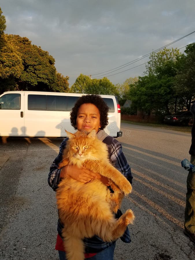 Kitty time stock photo. Image of decided, kitty, time - 114944284