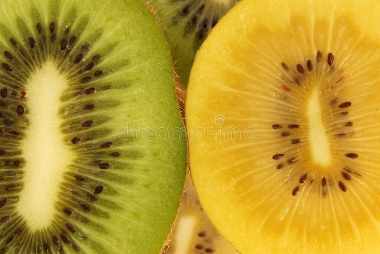 Kiwi Farms Stock Photos - Free & Royalty-Free Stock Photos from Dreamstime