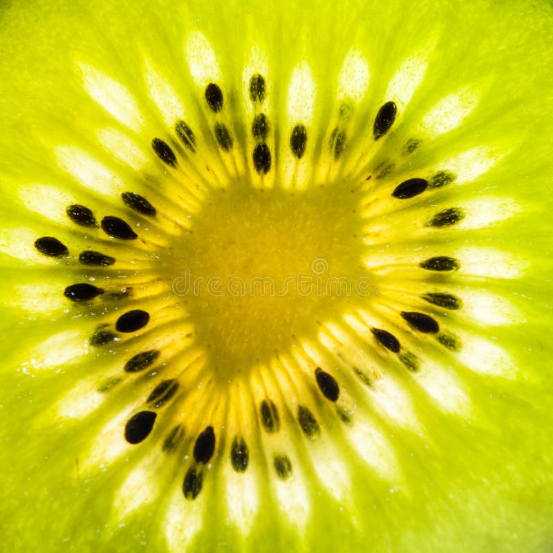 Kiwi stock image. Image of backlit, square, seed, macro - 29351461
