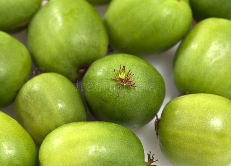Kiwi Berry or Actinidia Arguta Stock Image - Image of skin, kiwifruit ...