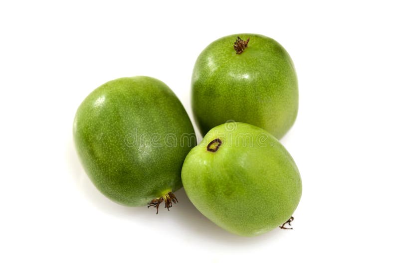 Kiwi Berry or Actinidia Arguta Stock Image - Image of arguta, baby ...