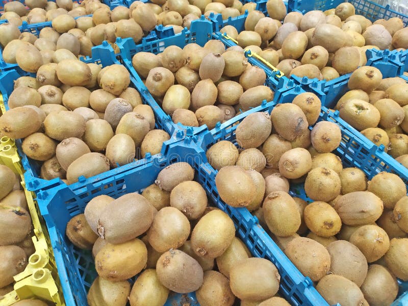 Kiwi in boxes for sale stock photo. Image of fresh, shop - 262595312
