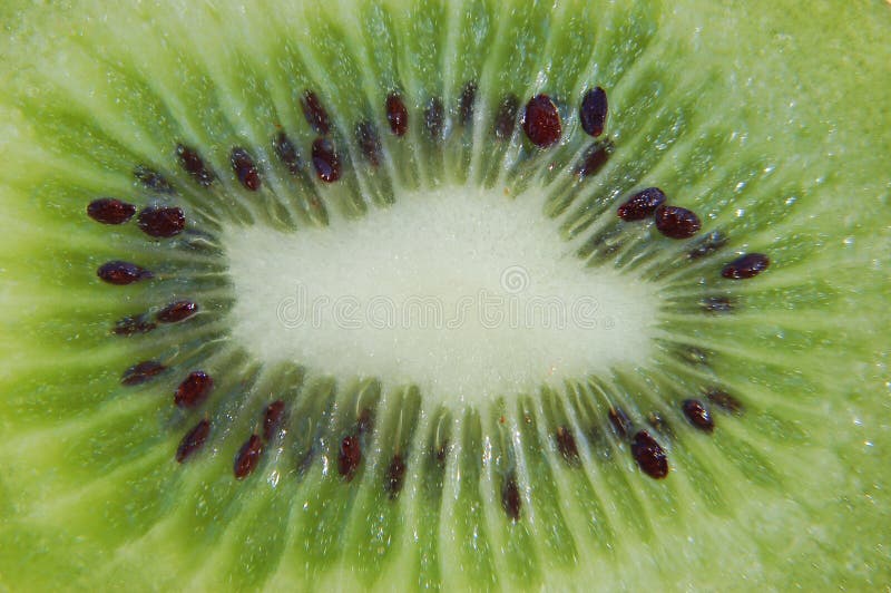 Kiwi closeup stock image. Image of health, exotic, natural - 13570757
