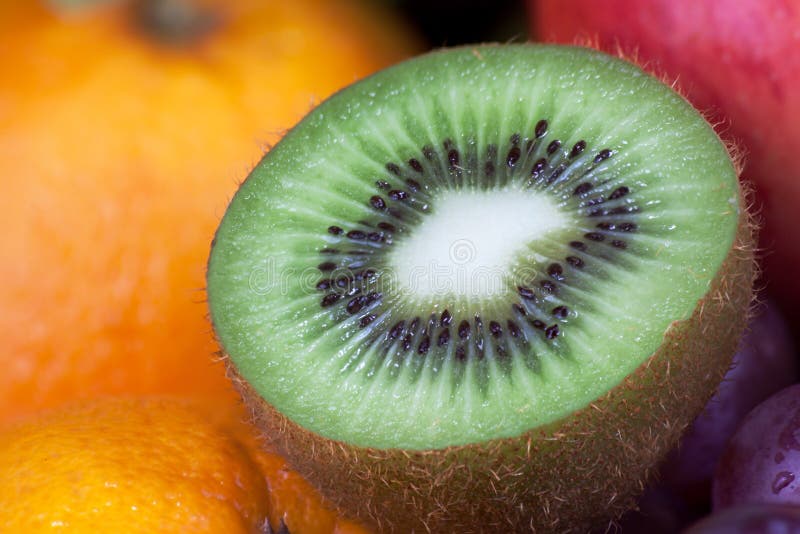 Kiwi cross section stock photo. Image of sweet, fruit - 56881312