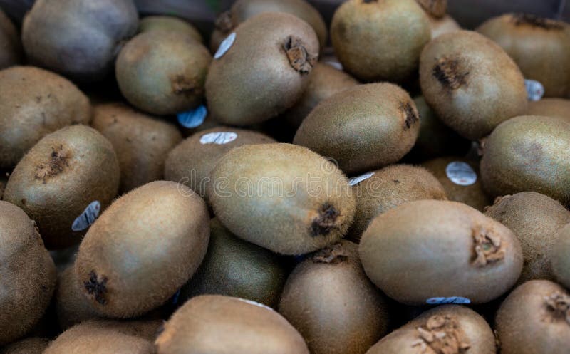 Kiwi on display for sale stock photo. Image of lifestyle - 163882466