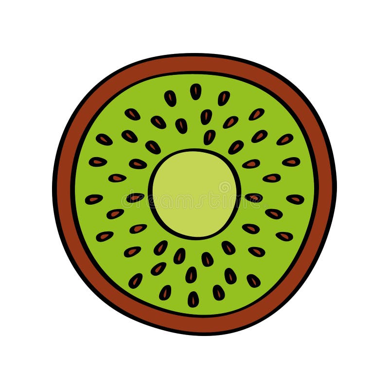 Kiwi Fresh Fruit Drawing Icon Stock Vector - Illustration of healthy ...