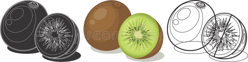 Kiwi Fruit Design Illustration Vector Stock Vector - Illustration of ...