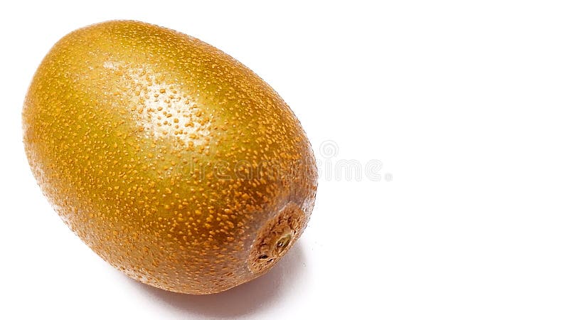 A Single Golden Kiwi Fruit on a White Background Stock Image - Image of ...