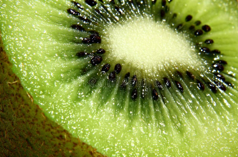 Kiwi fruit pulp cutout. stock photo. Image of closeup - 16827274