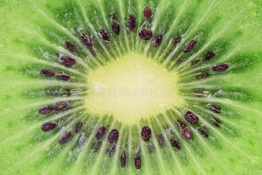 Kiwi fruit texture stock image. Image of juicy, green - 93023075