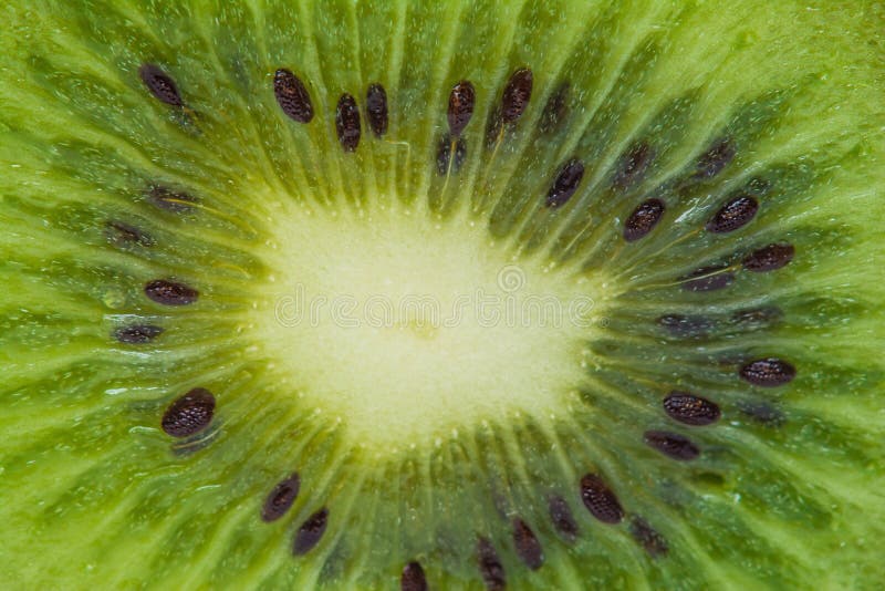 12,202 Kiwi Fruit Texture Stock Photos - Free & Royalty-Free Stock ...