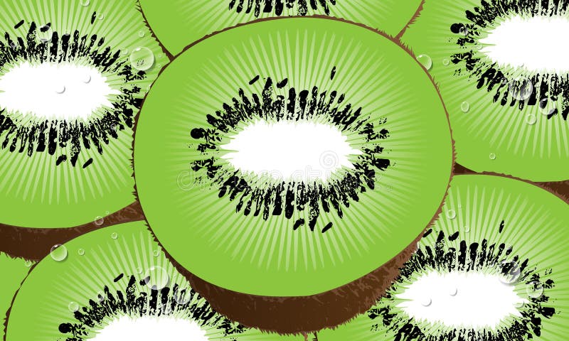 Kiwi Fruit Vector stock vector. Illustration of fruit - 26287568