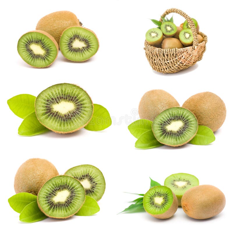 Kiwi fruits collection stock photo. Image of dessert - 22631498
