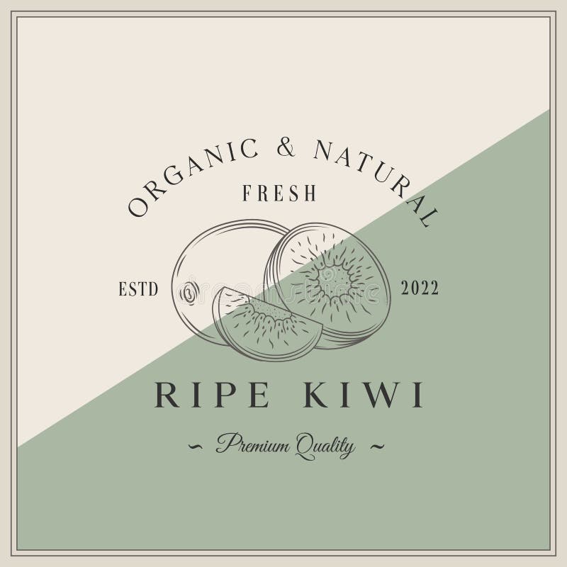 Kiwi Fruit Label Template. Abstract Vector Packaging Design Layout ...