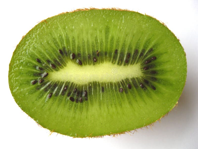 Kiwi Half Royalty Free Stock Image - Image: 13470666 Kiwi Half Royalty Free Stock Image - Image: 13470666