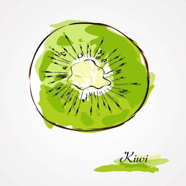 Kiwi Light Stock Illustrations – 785 Kiwi Light Stock Illustrations ...