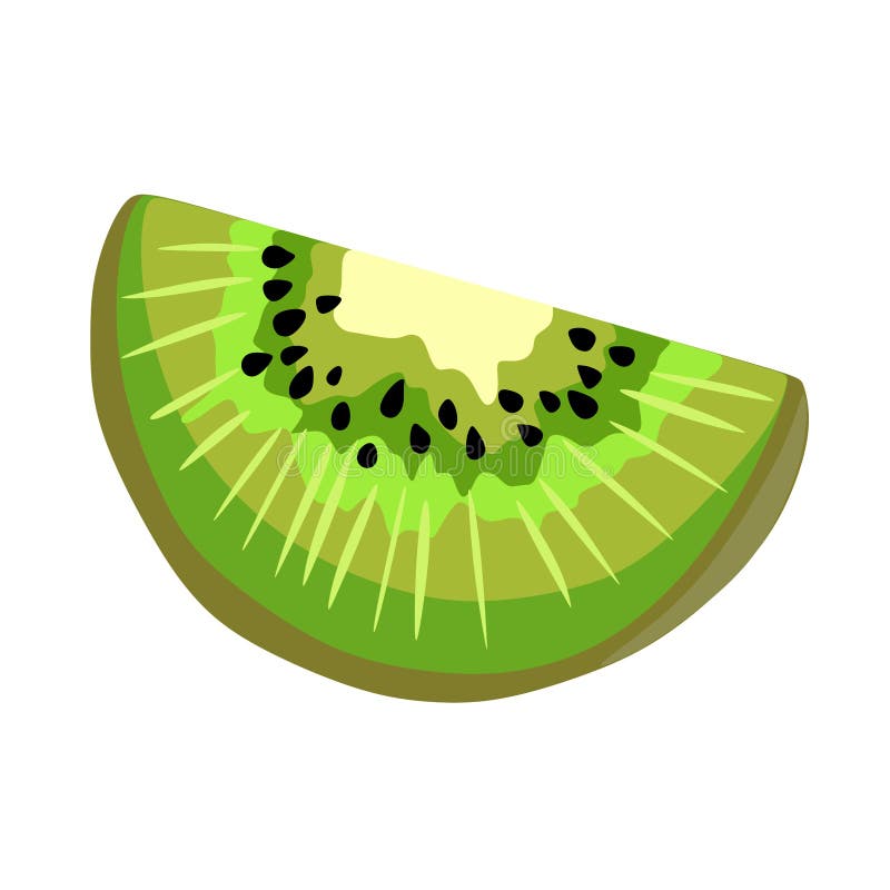 Kiwi Logo Icon Design Vector. Kiwi Fruit Slice Close-up Icon Isolated ...