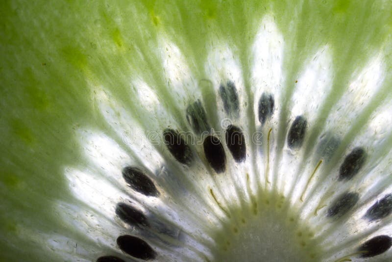 Kiwi seeds stock photo. Image of fruit, food, closeup - 50018666