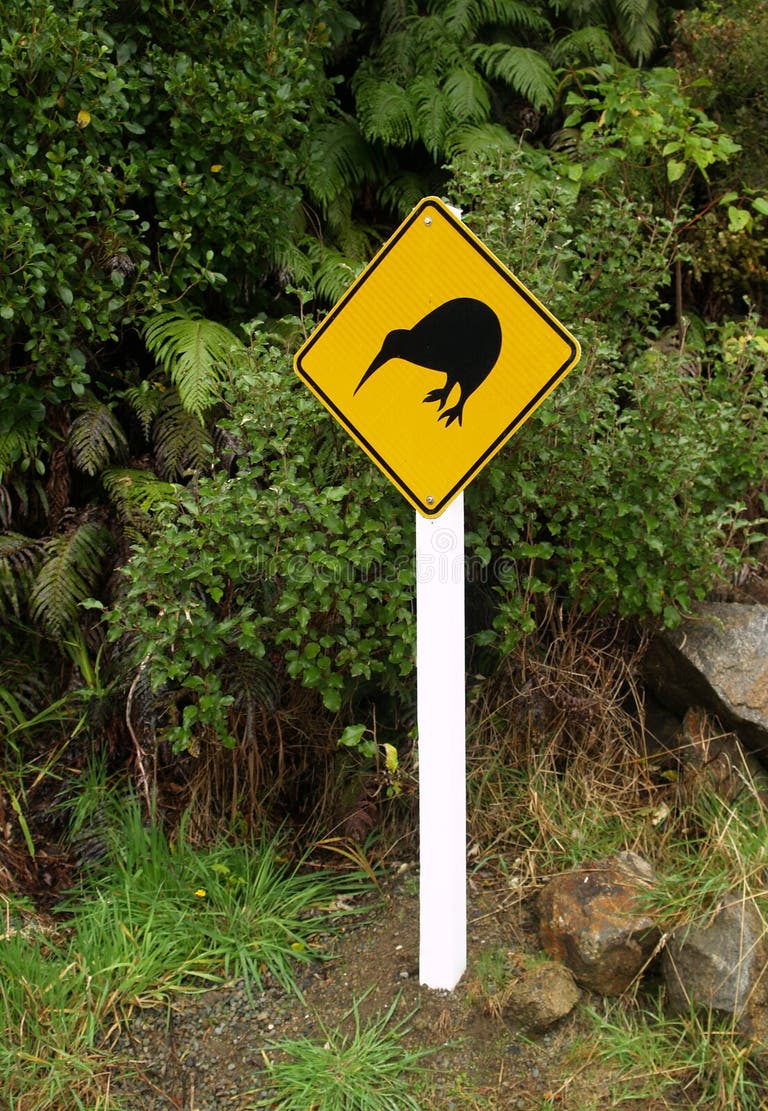 171 Kiwi Bird Sign Stock Photos - Free & Royalty-Free Stock Photos from ...