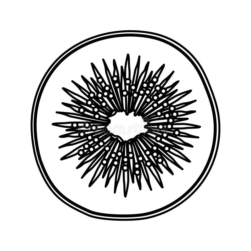 Kiwi Simple Fruit Icon for Web. Round Ui Icon, Sign or Logo Stock ...