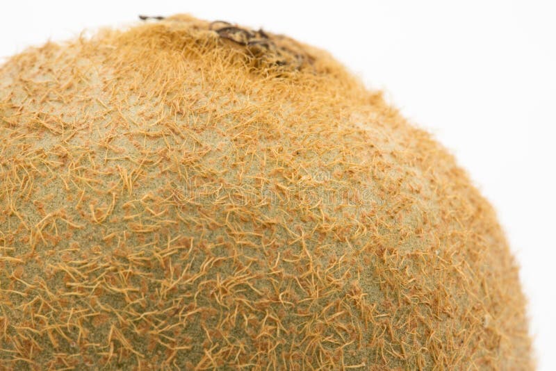 Kiwi Texture - Skin Closeup Stock Photo - Image of close, extreme: 92803692