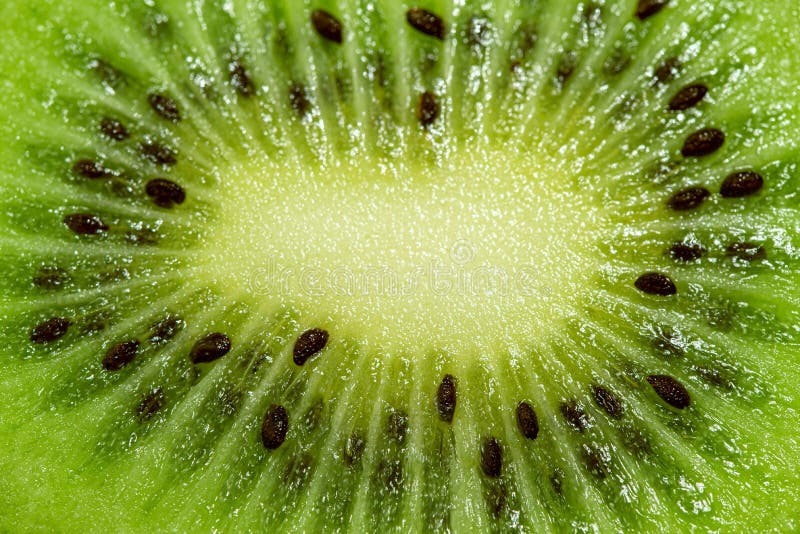 Kiwi Slice Texture Background Stock Image - Image of texture, white ...