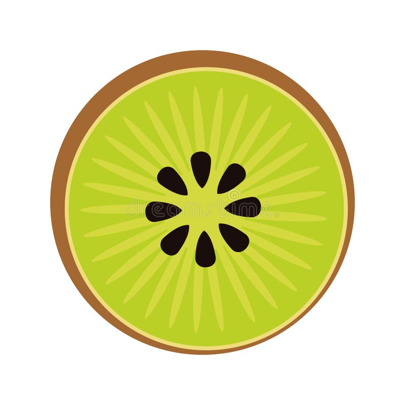 Kiwi Slice Top View Green. Vector Stock Illustration - Illustration of juicyfruit, slice: 382778046