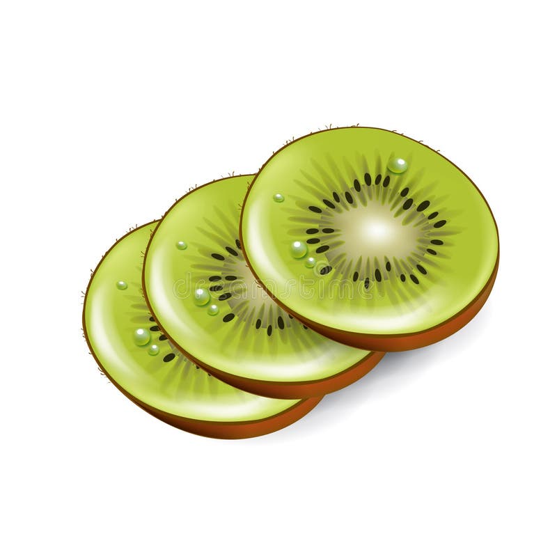 Cut Kiwi Fruit Pieces Isolated on White Stock Vector - Illustration of ...