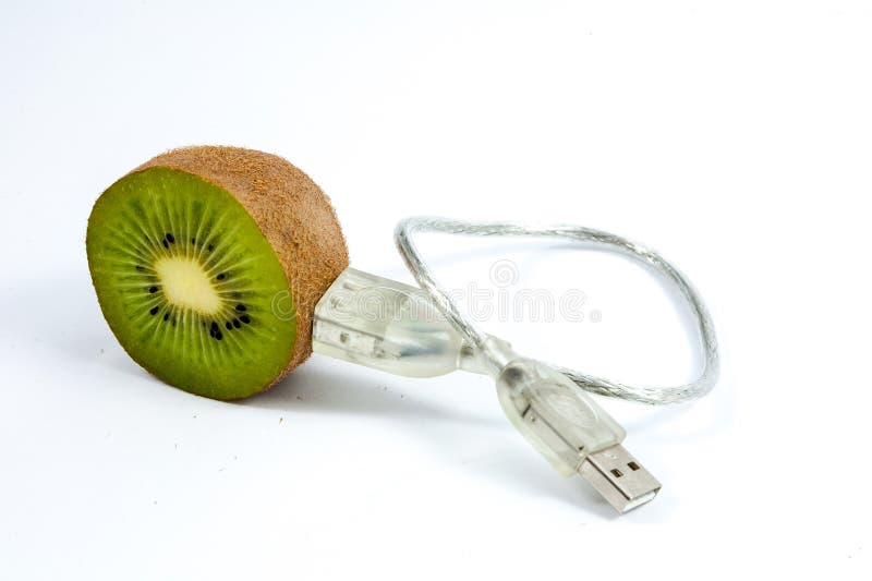 Kiwi and USB cable stock image. Image of fruit, fruits - 305876967