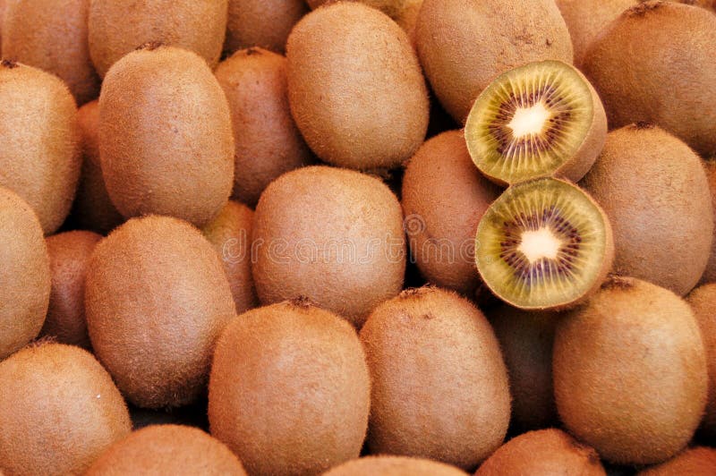 Brown Kiwy Stock Photos - Free & Royalty-Free Stock Photos from Dreamstime