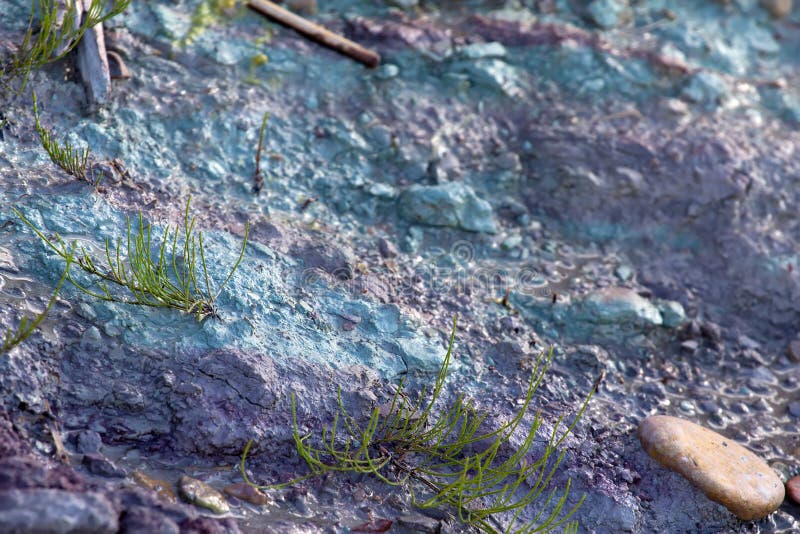 Cambrium klei stock afbeelding. Image of vuil, schoonheid - 33849885