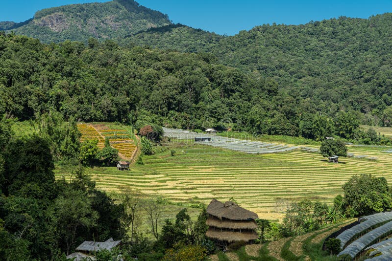 Klein Dorp in Het Midden Van De Jungle Met Terrasvelden Stock ...