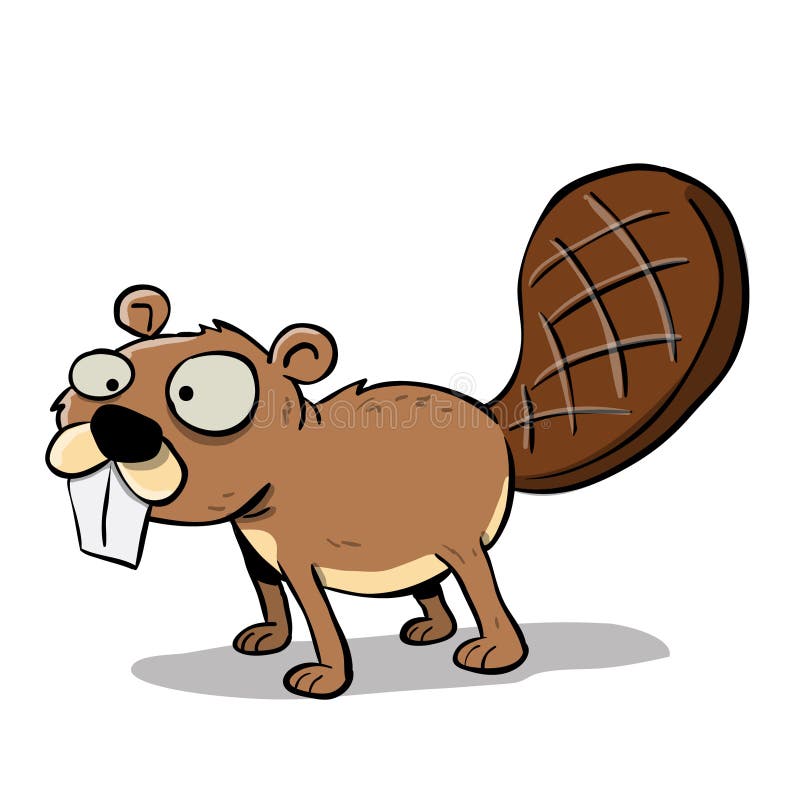 Kleine Bever Met Grote Tanden Vector Illustratie - Illustration of ...