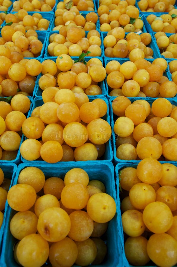 Kleine gele pruimen stock afbeelding. Image of pruim - 15224257