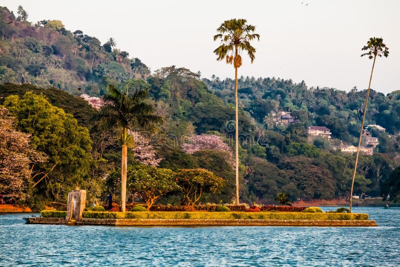 Kleine Insel Mit Palmen Mitten in Kandy See Stockbild - Bild von zweig ...