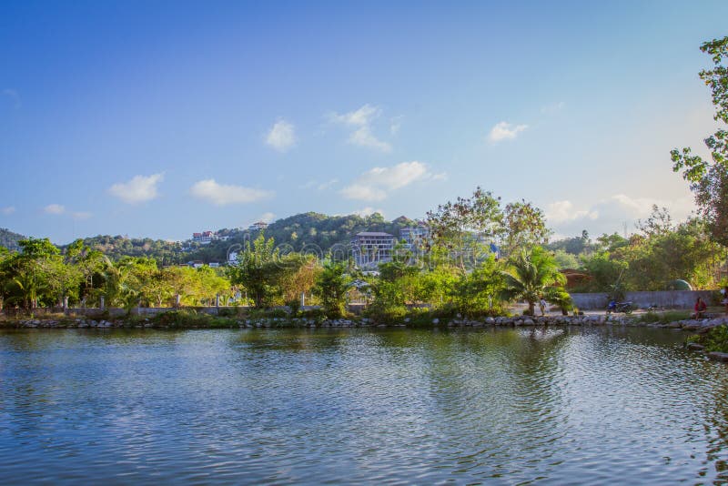 Kleine Insel Mit Palmen Mitten in Teich Stockbild - Bild von wolken ...