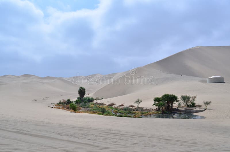 Kleine oase stock afbeelding. Image of toerisme, woestijn - 103832407