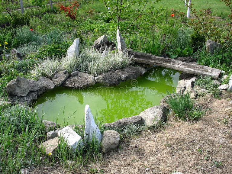 Kleiner dekorativer Teich stockbild. Bild von frieden - 9450037