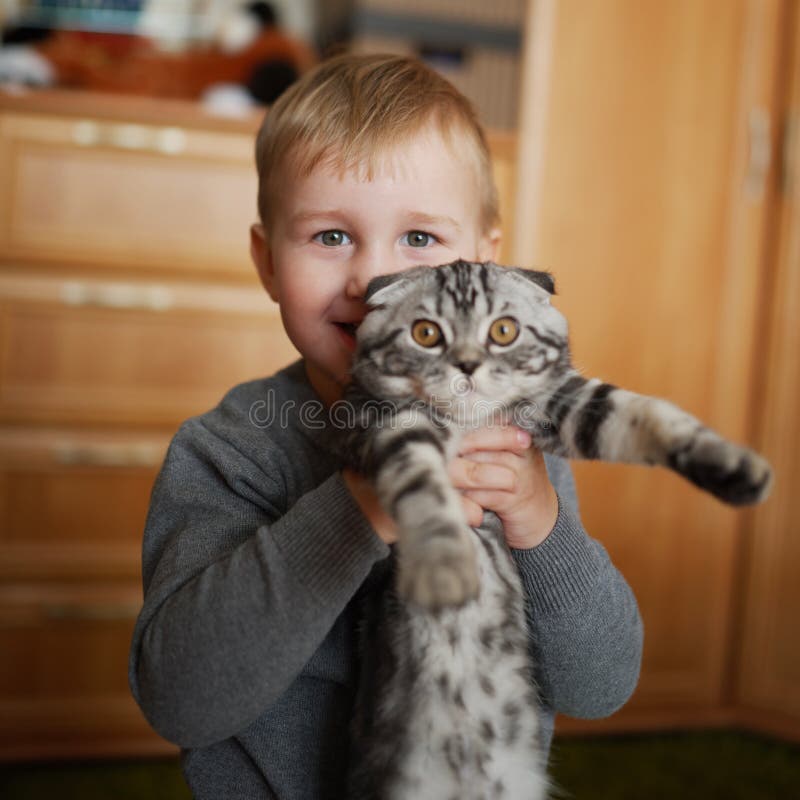 Kleiner Lustiger Junge Umarmt Katze Stockbild - Bild von betrieb ...