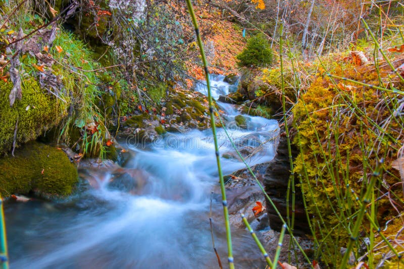 Kleiner Strom in Den Grindelwald-Alpen Stockfoto - Bild von feiertag ...