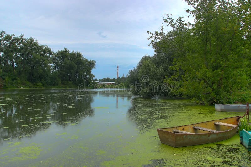 Kleines Boot Mit Dem Himmel Reflektierte Sich in Fluss Im Wald ...