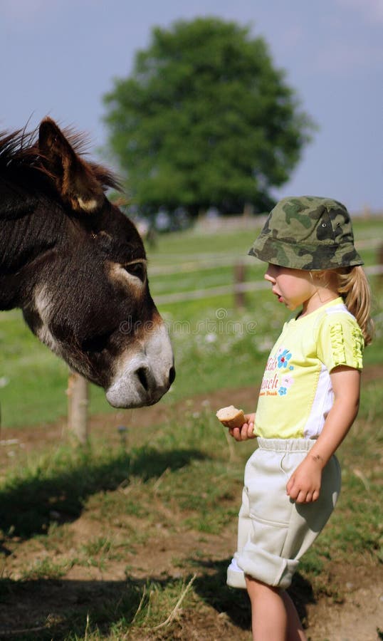 Kleines Mädchen mit Esel stockbild. Bild von ferien, esel - 12424525