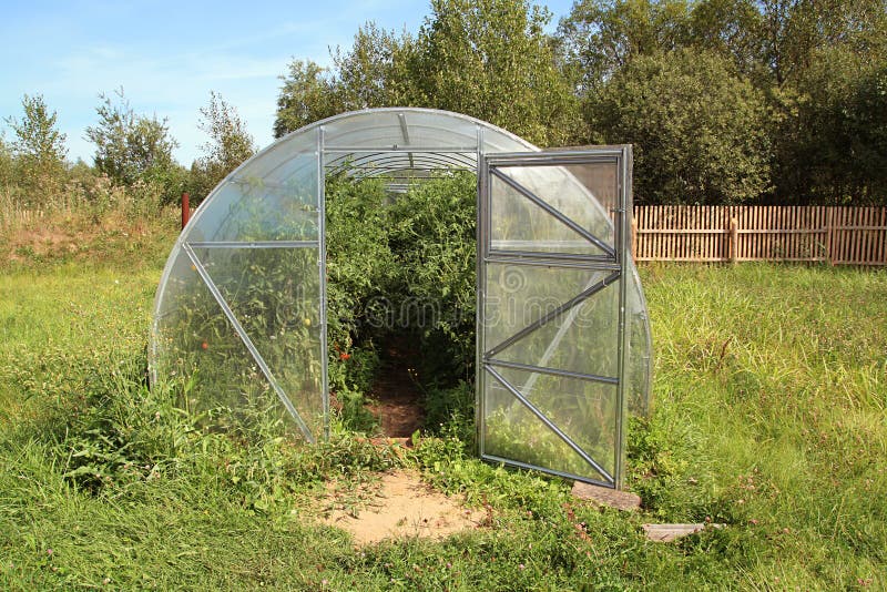Treibhaus stockbild. Bild von kultur, nahrung, innere - 24563681