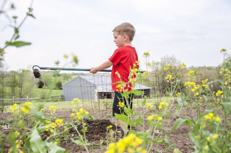 Kleinkind im Garten stockbild. Bild von kind, rüben, junge - 38848265